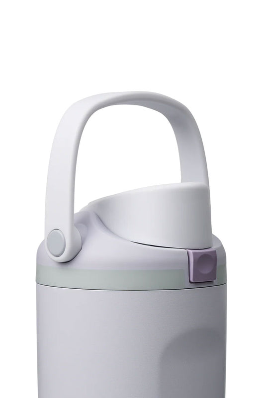 Owala FreeSip Sway 30 oz Stainless Steel Water Bottle in Open Air | C0 ...
